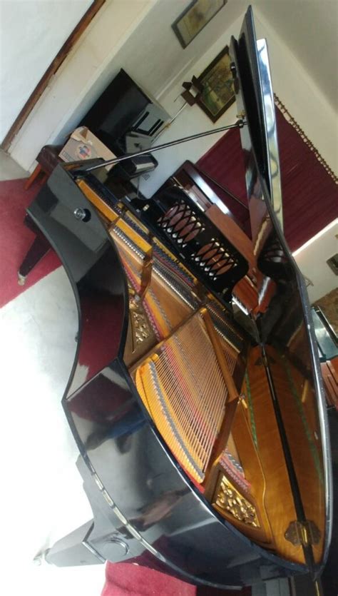 Ibach Grand Piano Eshelby Pianos