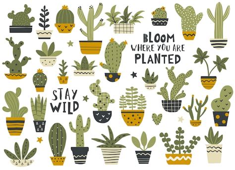Conjunto de cactus y suculentas con citas de caligrafía colección de