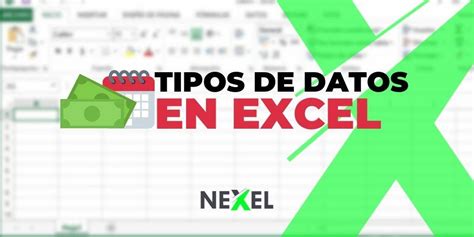Tipos De Datos En Excel Desde Nexel