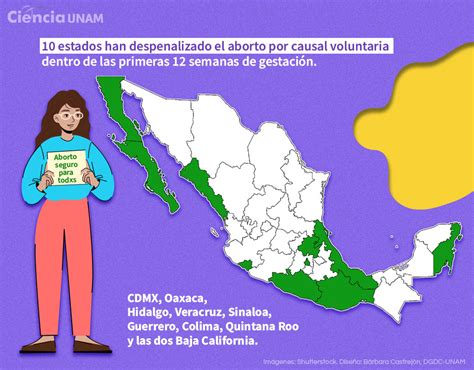 Aborto El Derecho A Decidir Sobre Tu Cuerpo Ciencia UNAM