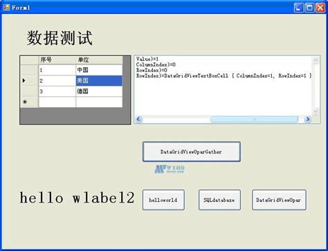 datagridview控件的用法详解合集 梦飞vps服务器租用