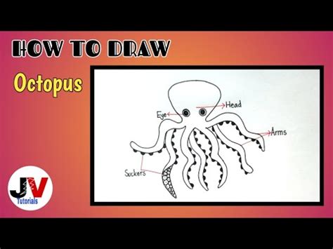 Octopus Diagram Octopus Drawing How To Draw A Octopus YouTube