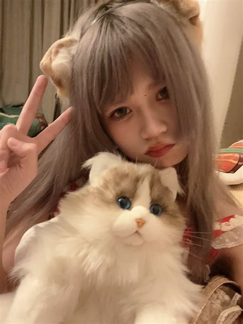绒布球猫猫 on Twitter 好喜欢这个猫猫包