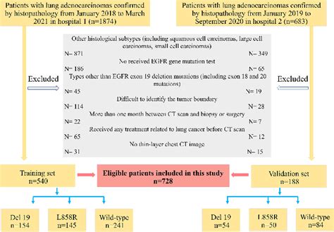 figure 1 from development of a nomogram based on 3d ct radiomics signature to predict the