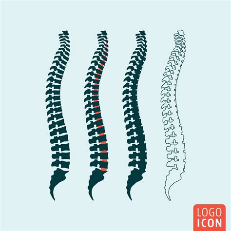 Human Spine Icon 608664 Vector Art At Vecteezy