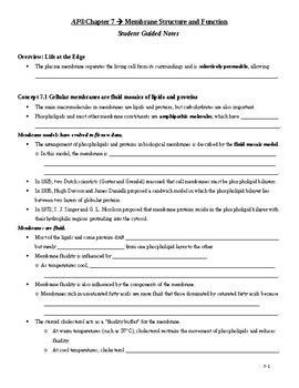 AP Biology Chapter 7 Membrane Structure And Function By Chenec