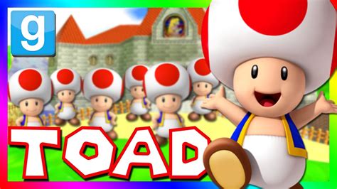 Garry S Mod TOAD HIDE AND SEEK Toad Takeover YouTube