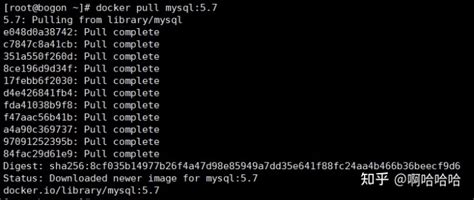 docker容器安装mysql 知乎