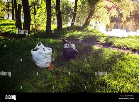 Basura Dejada Por Los Turistas En La Orilla Del Lago En La Hierba En