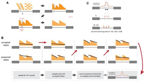 figure supplement 1 rachetscan method for automated detection of download scientific diagram