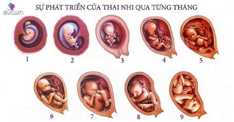 Qu Tr Nh Mang Thai Em B Ch C Ch N Cha M N O C Ng T M
