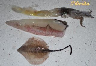 Manera De Limpiar Los Chipirones Y Truco Para Rellenarlos Pikerita S Way