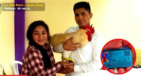 Gallo Tiktokero Lino Arrasa En Internet Y Es El Primero En Contar Con