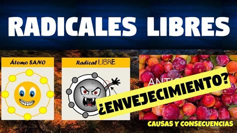 TODO SOBRE RADICALES LIBRES Y ANTIOXIDANTES FUNCIONES Y CLASIFICACIÓN