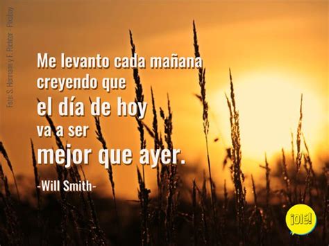 The Sun Is Setting Behind Tall Grass With A Quote From Wil Smith On It