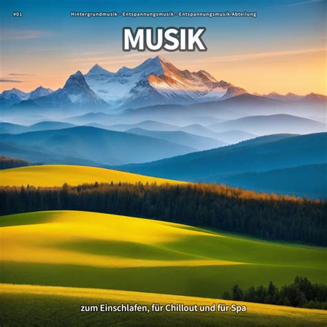 01 Musik zum Einschlafen für Chillout und für Spa Album by