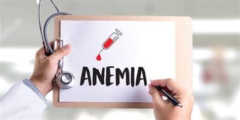 Anemia por déficit de hierro síntomas causas y tratamiento Blog