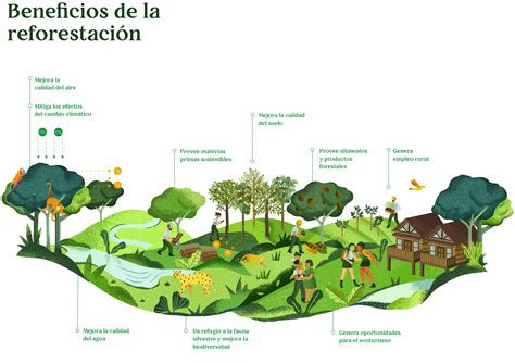 Bosques Amazónicos BAM
