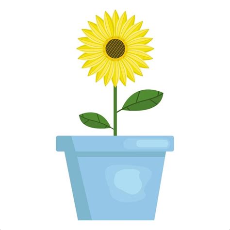 Illustration Du Tournesol Vecteur Premium
