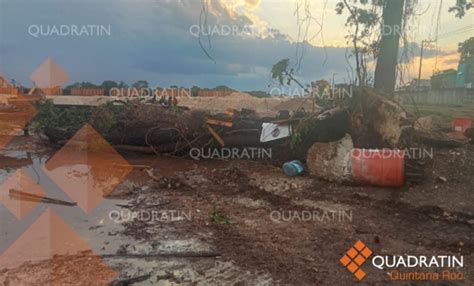 Suman 5 Trabajadores Del Tren Maya Muertos En Dos Meses Noticias De
