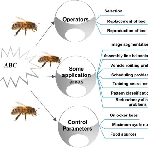artificial bee colony abc algorithm source [4] download scientific diagram