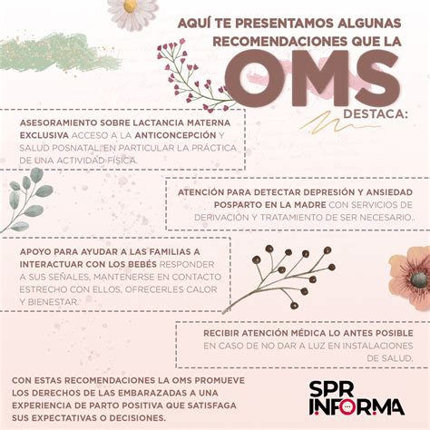 SPR Informa Recomendaciones De La OMS Para Un Embarazo Y Maternidad