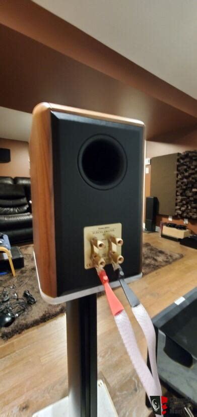 Sonus Faber Electa Amator 3 With Original Stands Photo 4262670