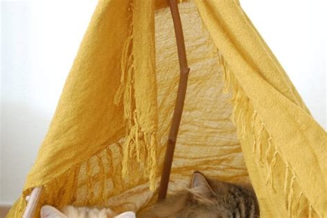 Tipi pour chat à fabriquer tutos et idées pour choyer votre matou