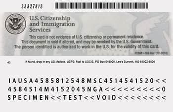 Usa Employment Authorization Card Template Psd File