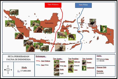 Peta Persebaran Fauna Di Indonesia Konsep Perpaduan Pengetahuan Dan Sikap