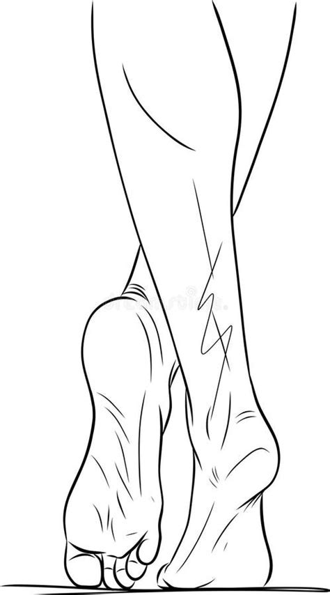 Beautiful Female Feet Hand Drawn Of Realistic Human Feet Healthy Foot Stock Vector