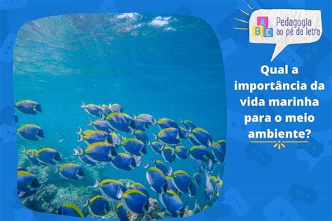 Plano De Aula Sobre Vida Marinha Para O Ensino Fundamental De Acordo