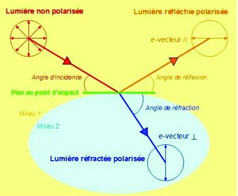 Schéma des phénomènes de réflexion en orange et réfraction en bleu