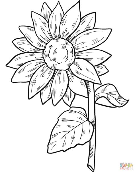 Girasoles Para Colorear Girasoles Para Colorear P Ginas Para
