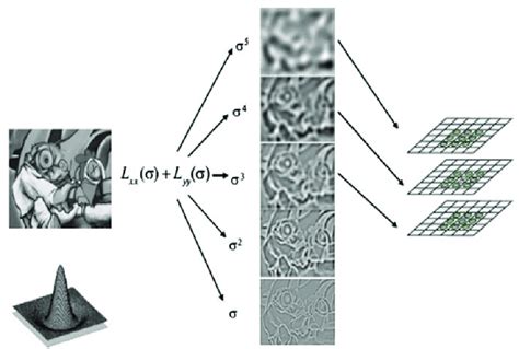 laplacian of gaussian log operation download scientific diagram