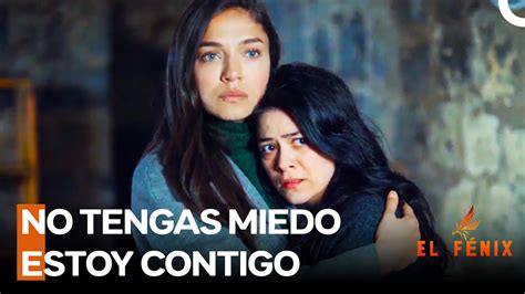 Apoyo Total De Zumrut A Suhandan El Fénix YouTube