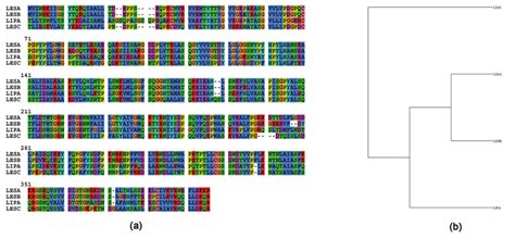 multiple sequence alignment done using clustalw and phylogenetic trees download scientific