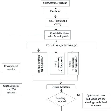 medical image denoising algorithm using hybrid genetic algorithm ga download scientific