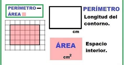 El Blog De Los Sextos Diferencia Entre Rea Y Per Metro