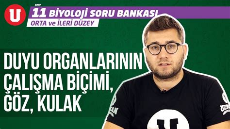 11 Sınıf Orta ve İleri Düzey Biyoloji Seans 8 Duyu Organlarının