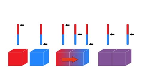 Como Aseguramos Que Dos Cuerpos Han Alcanzado El Equilibrio Termico