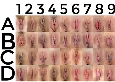 Kind Of Pussy 44 Porn Photo