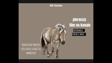 Pierwszy film na kanale Informacje i trochę o mnie Hobby horse na
