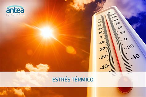 Estrés Térmico Prevención de Riesgos Laborales PRL Antea Prevención