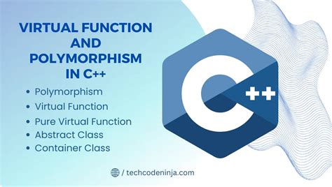 virtual function and polymorphism backbone of c 2024 guide