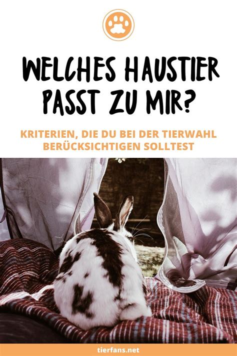 Pin Auf Tierwissen Interessant Au Ergew Hnlich Lustig