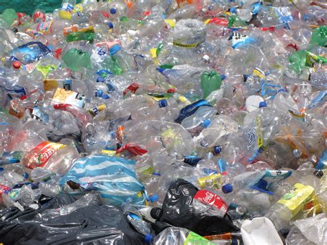 Combatir la contaminación de plástico en la Hora del planeta en Ecuador