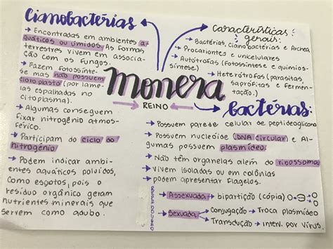 Mapa Mental Sobre Reino Monera Study Maps Artofit
