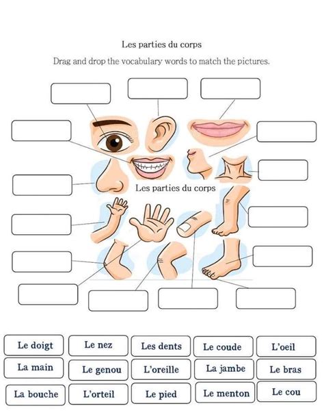 A Diagram Showing The Different Parts Of An Object In French Including