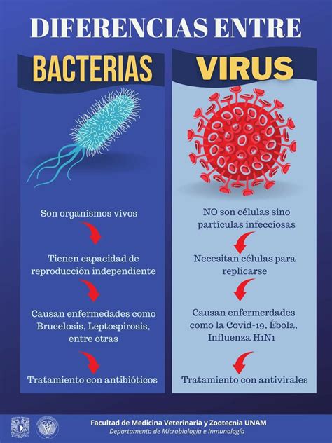 Diferencias Entre Virus Y Bacterias Cuadro Comparativo Artofit